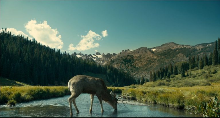 Visually Beautiful Movies: The Ballad of Buster Scruggs in Pictures ...